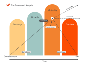 What are the four stages of the business lifecycle?